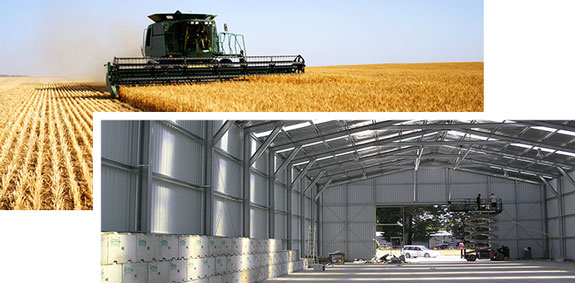 Grain Sheds & Steel Grain & Food Storage Vessels - ShedSafe® Accredited ...